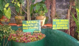 Add These 7 Nearby Spots to Your Baguio Itinerary