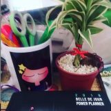 Reflection: Ano ang life mission mo? - aspectos de hitokiriHOSHI